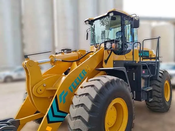 Delivering a Brighten Future - Feeler Africa